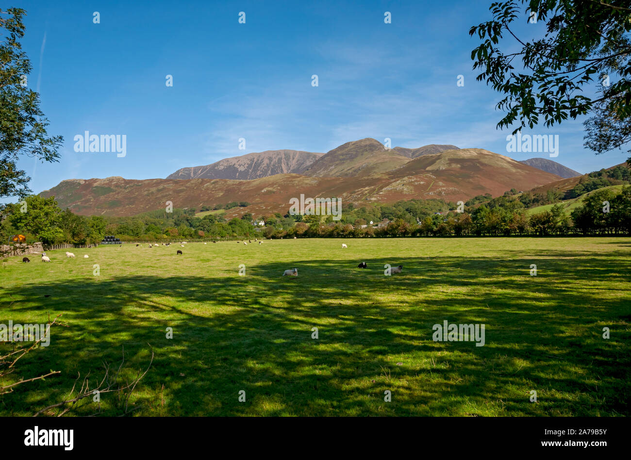 Autumn grassmoor hi-res stock photography and images - Alamy