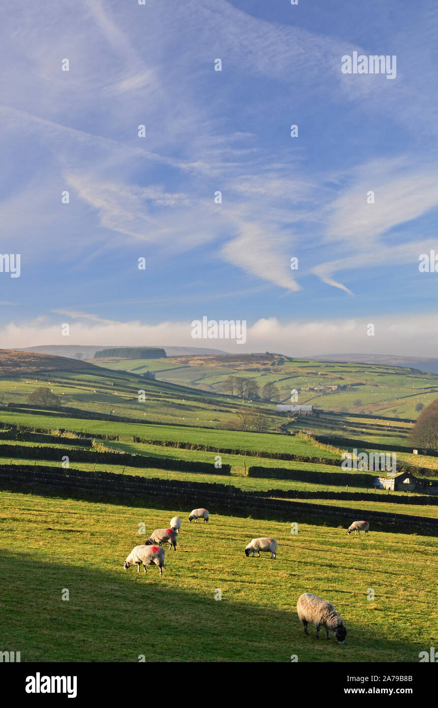 Haworth landscape hi-res stock photography and images - Alamy