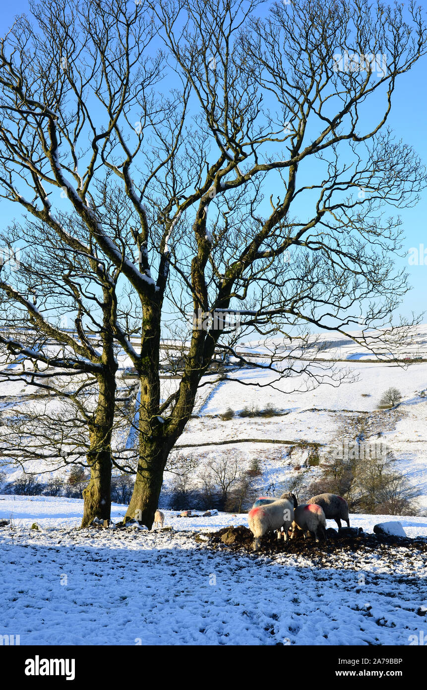 Snow in haworth on the moors hi-res stock photography and images - Alamy