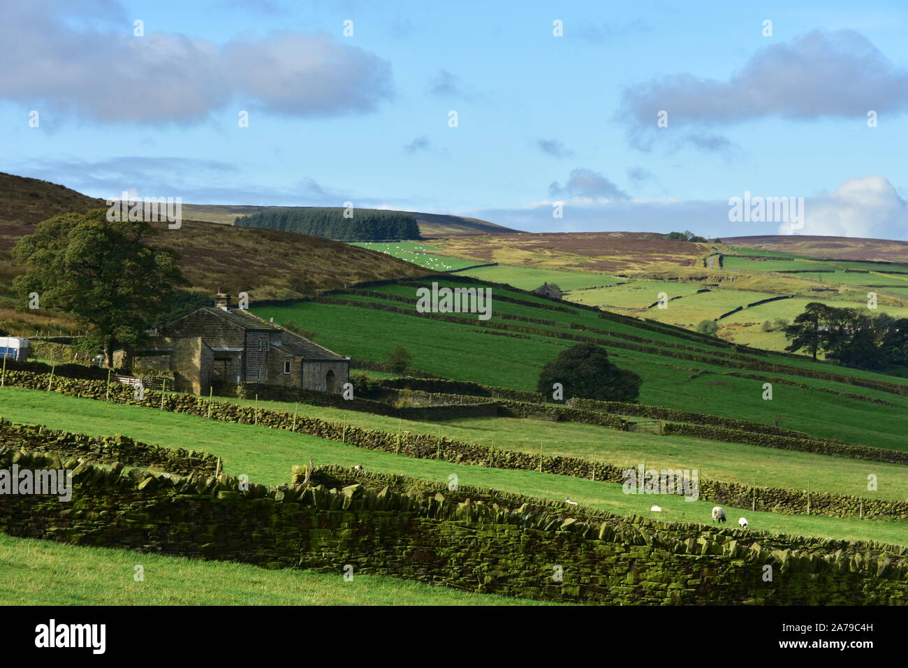 Autumn, Haworth countryside , Bronte Country Stock Photo - Alamy