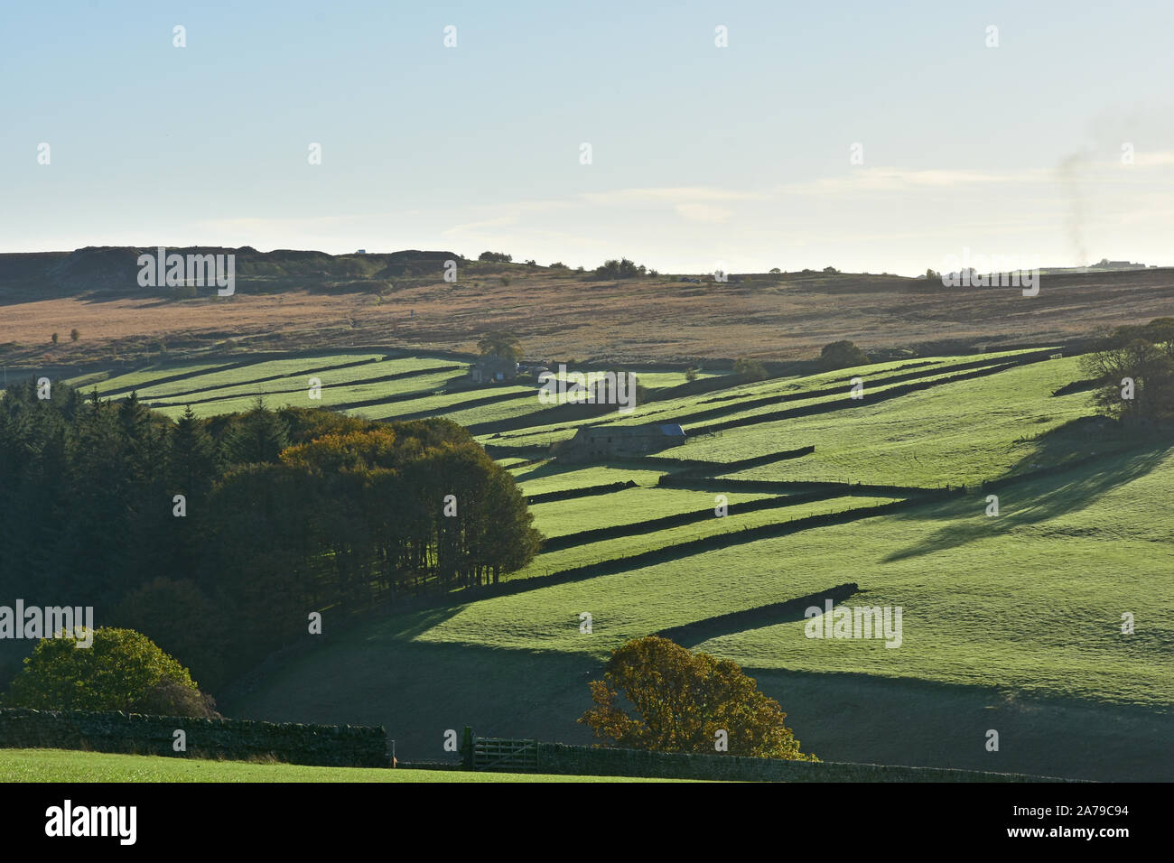 Low Autumn sunlight, on Haworth Moor, Bronte country Stock Photo - Alamy