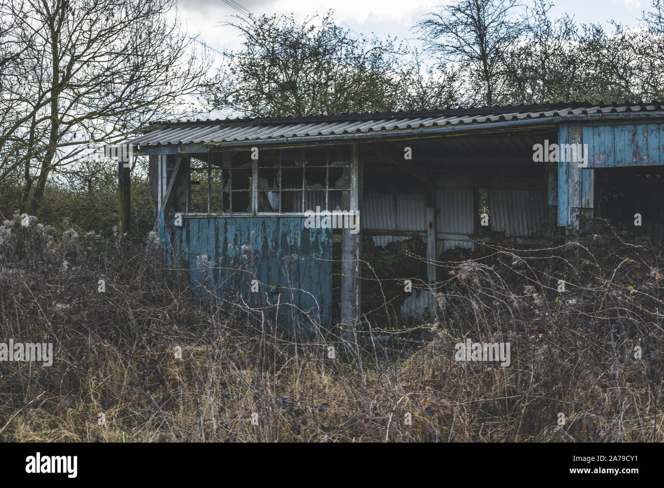 Abandon shed hi-res stock photography and images - Alamy