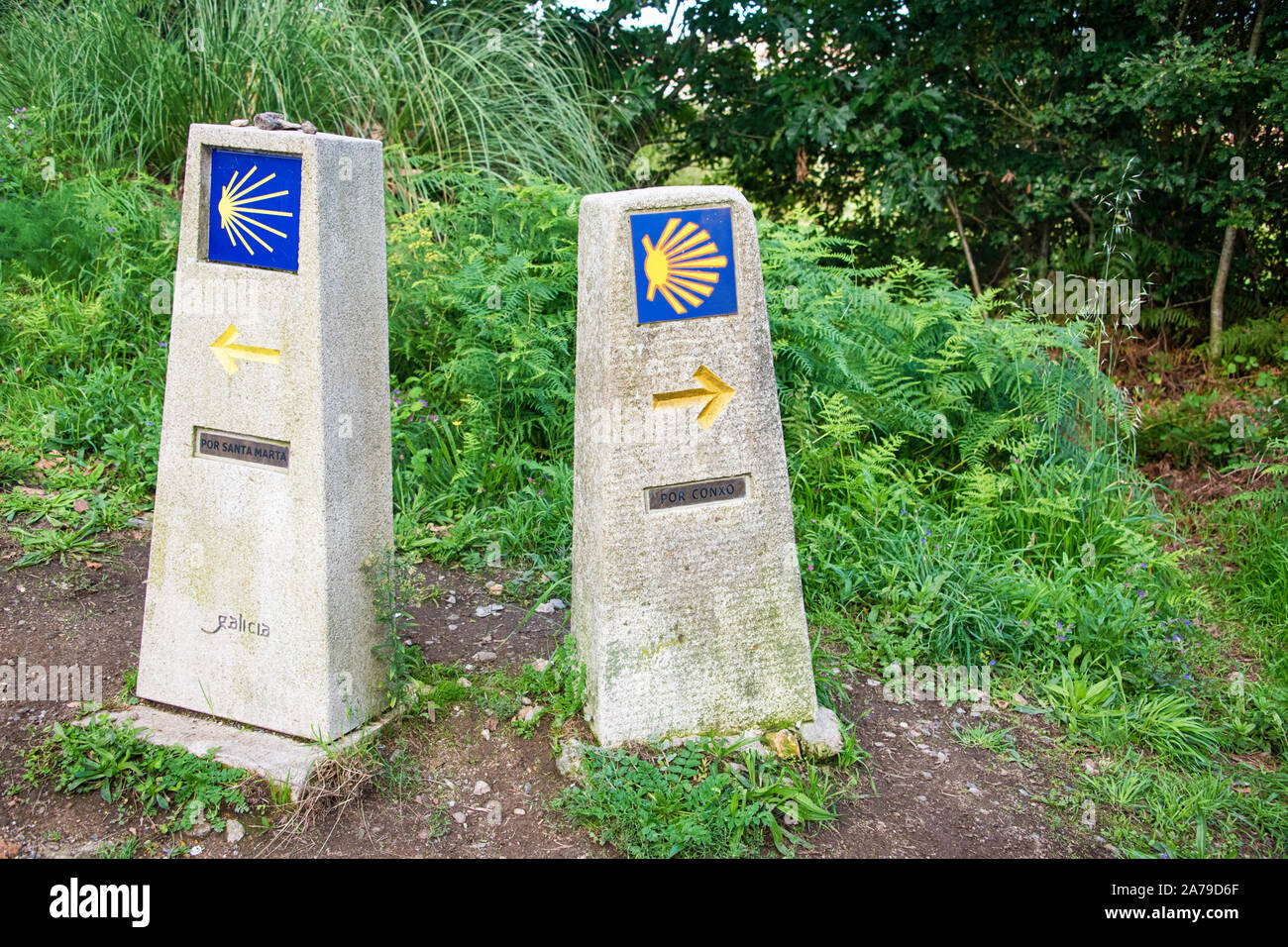 Camino scallop shells hi-res stock photography and images - Alamy