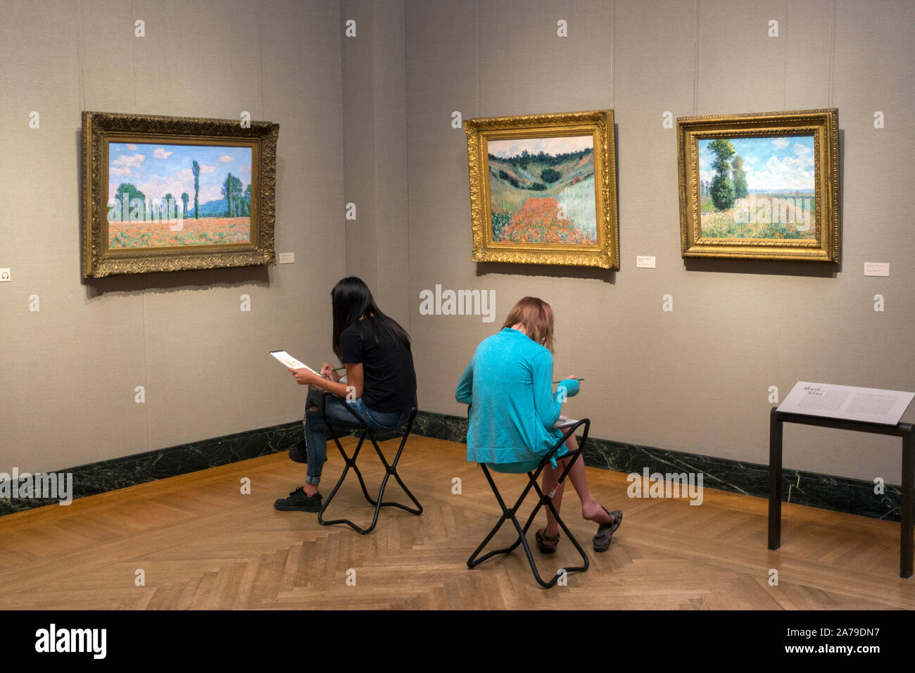 art lesson class in the Museum of Fine Arts Boston Stock Photo - Alamy