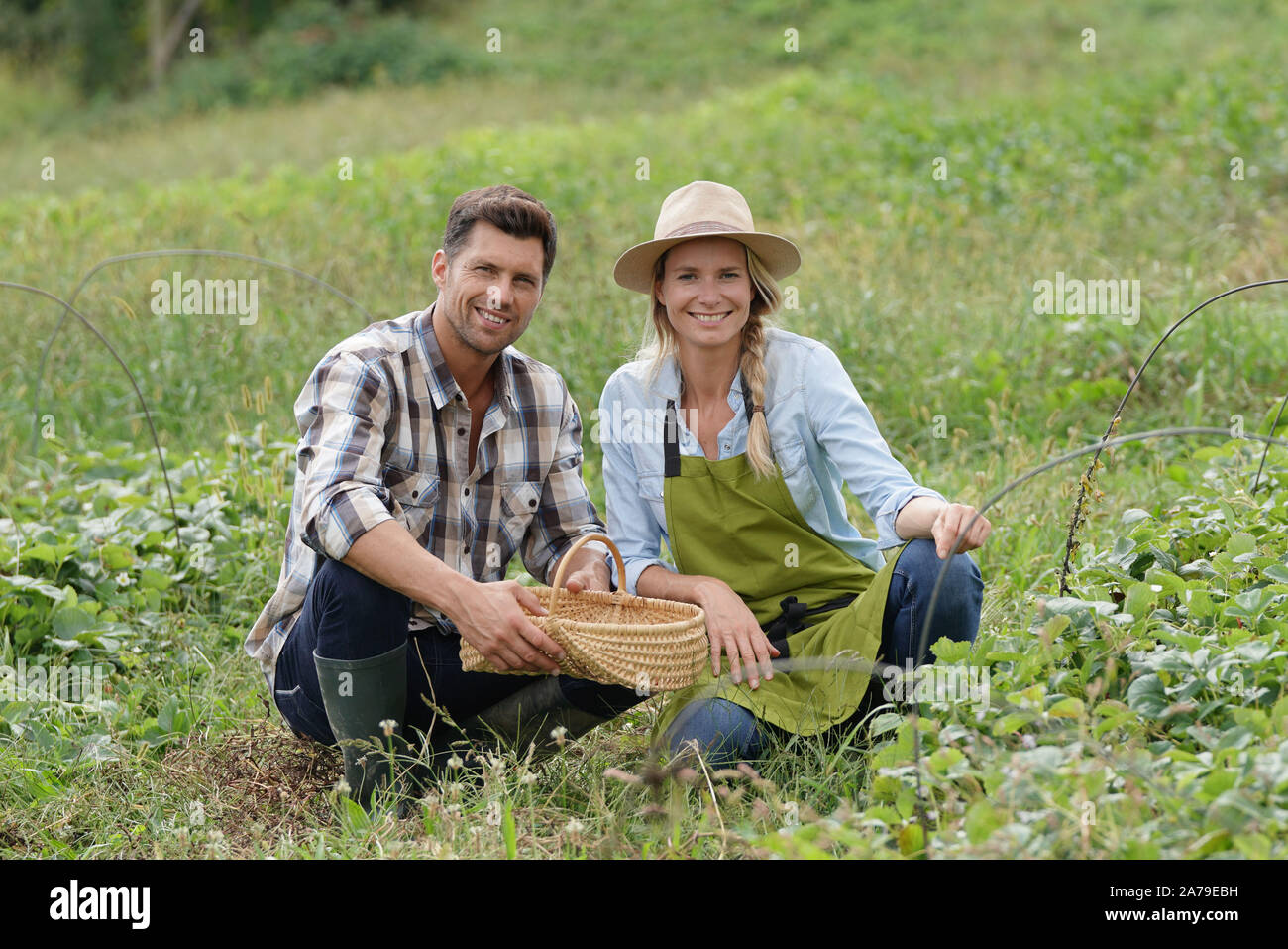 Farmers couple working in field hi-res stock photography and images - Alamy