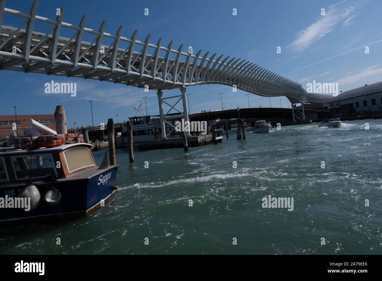 Skeletal spine hi-res stock photography and images - Alamy