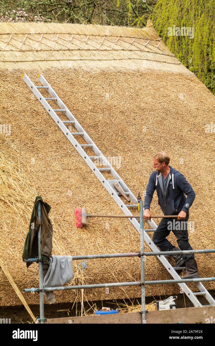 Thatch thatched thatching hi-res stock photography and images - Alamy