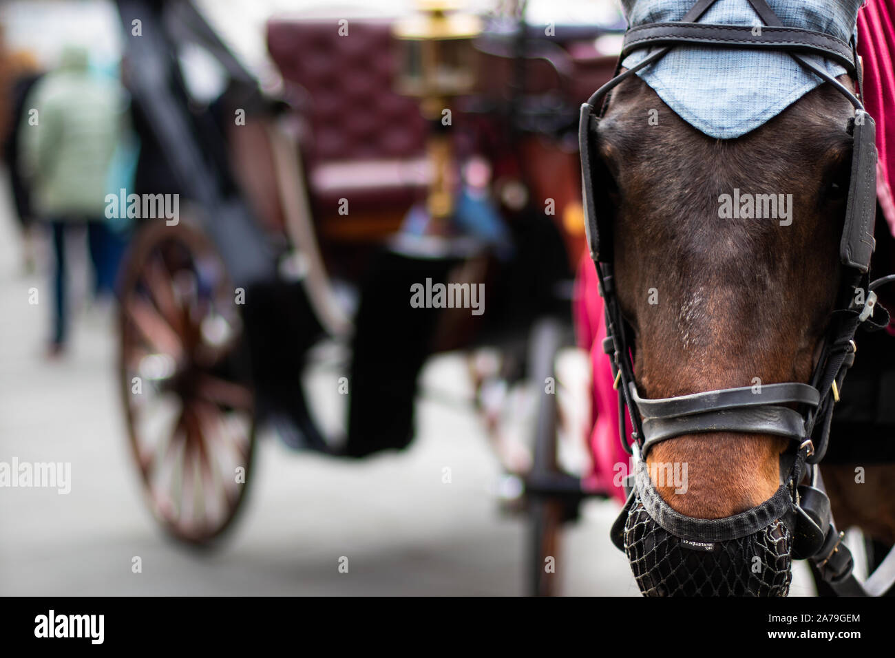 Wheeled Carriage High Resolution Stock Photography and Images - Alamy