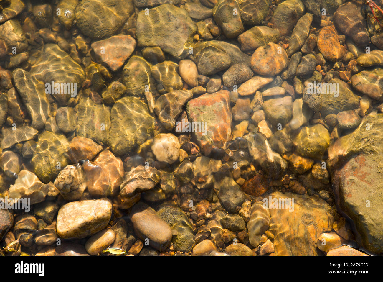 Stones under water, wet river stones Stock Photo - Alamy