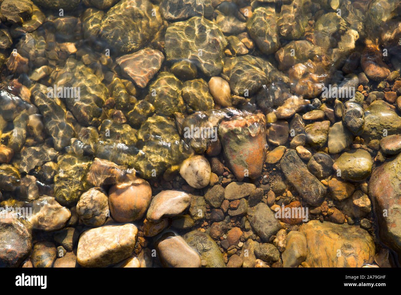 Stones under water, wet river stones Stock Photo - Alamy