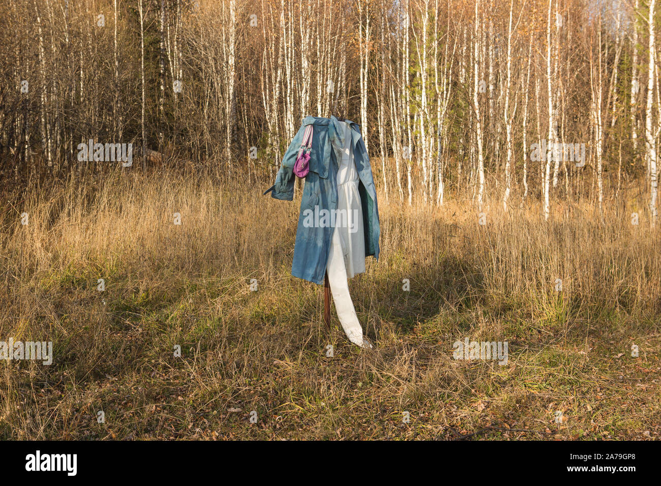 Scary Scarecrow in a clearing in the forest in the orange background of ...