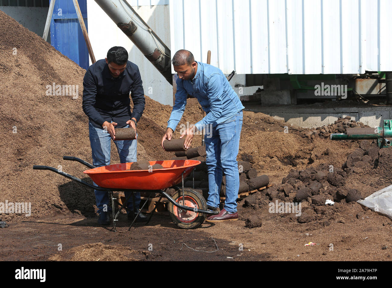 Palestinians make molds from olive pomace that is obtained from the ...