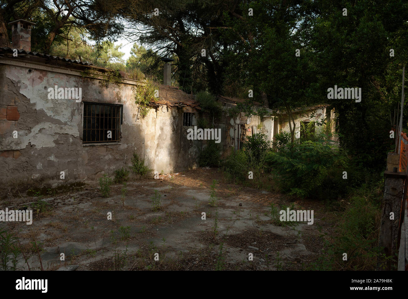 ruin in forest Stock Photo - Alamy
