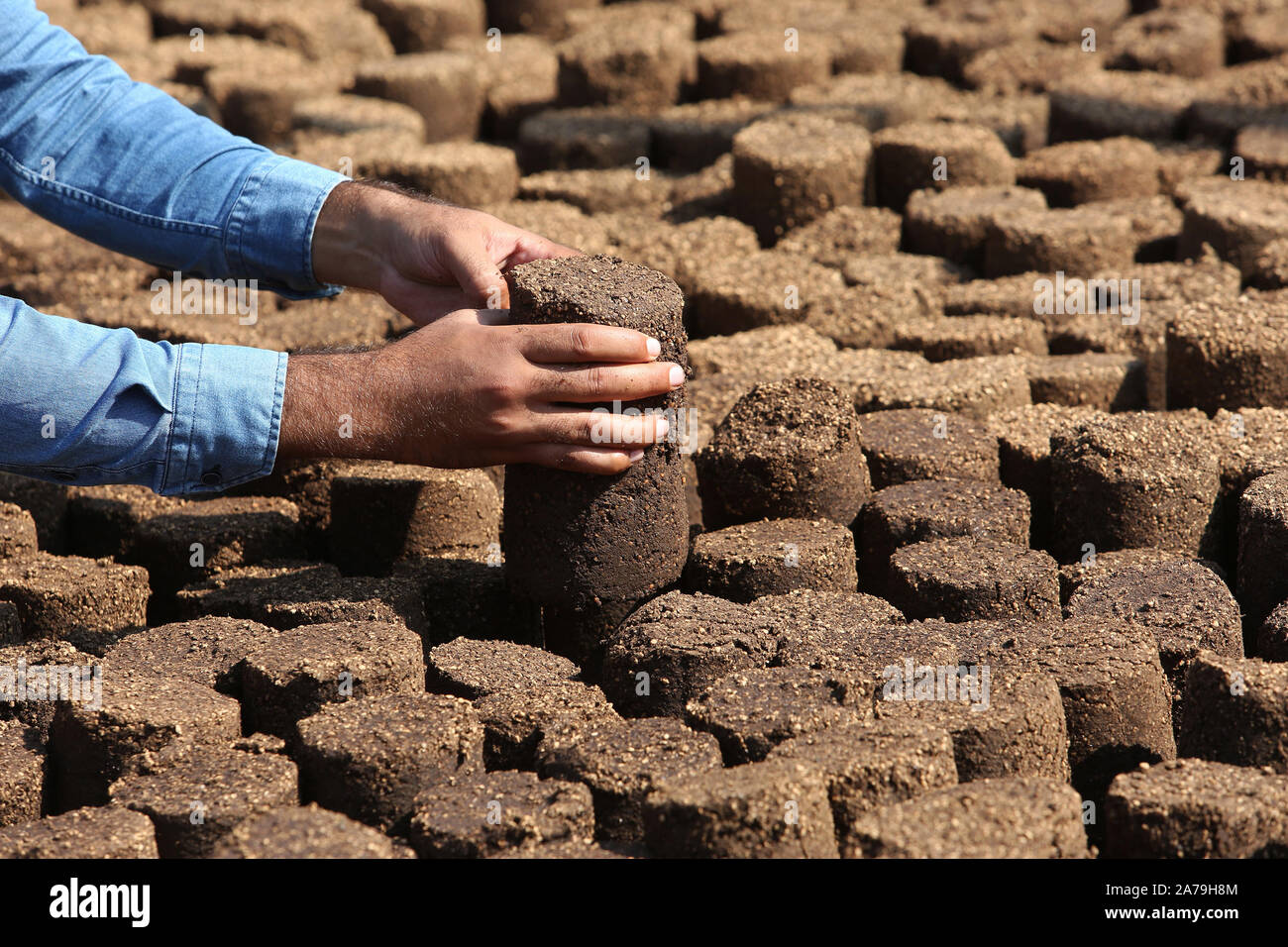 Palestinians make molds from olive pomace that is obtained from the ...