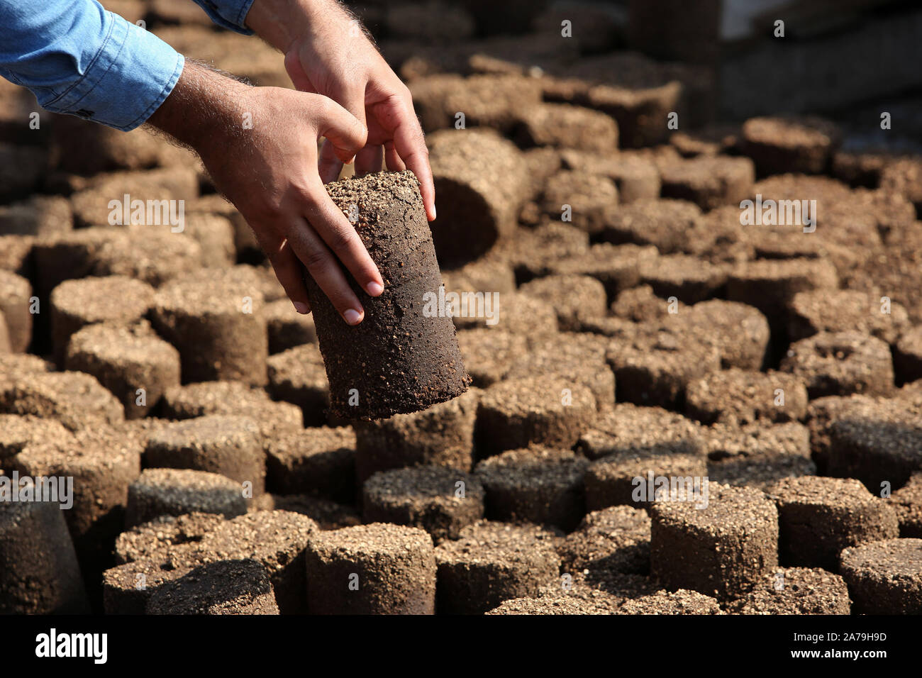 Olive oil extraction hi-res stock photography and images - Alamy