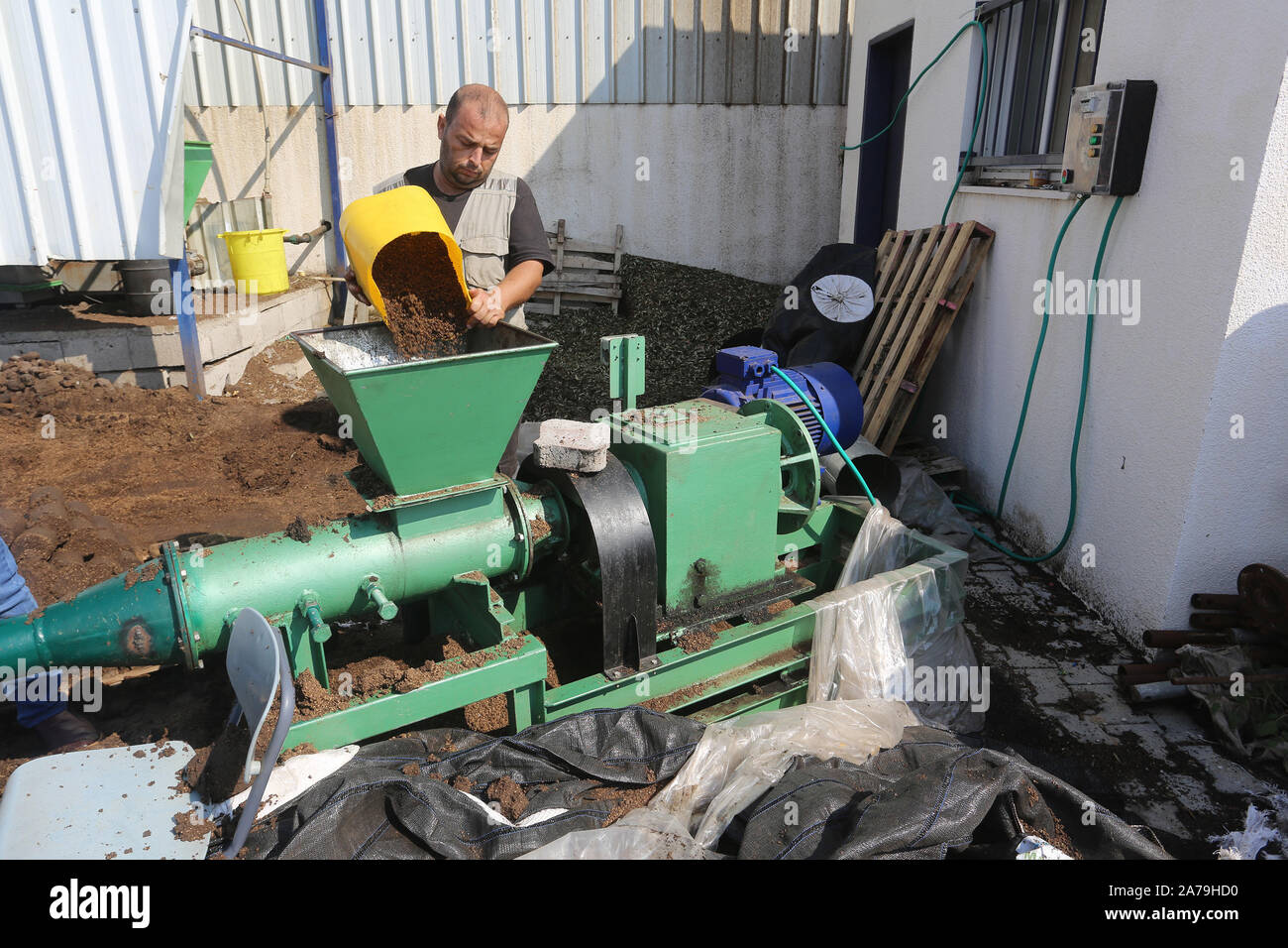 Palestinians make molds from olive pomace that is obtained from the ...