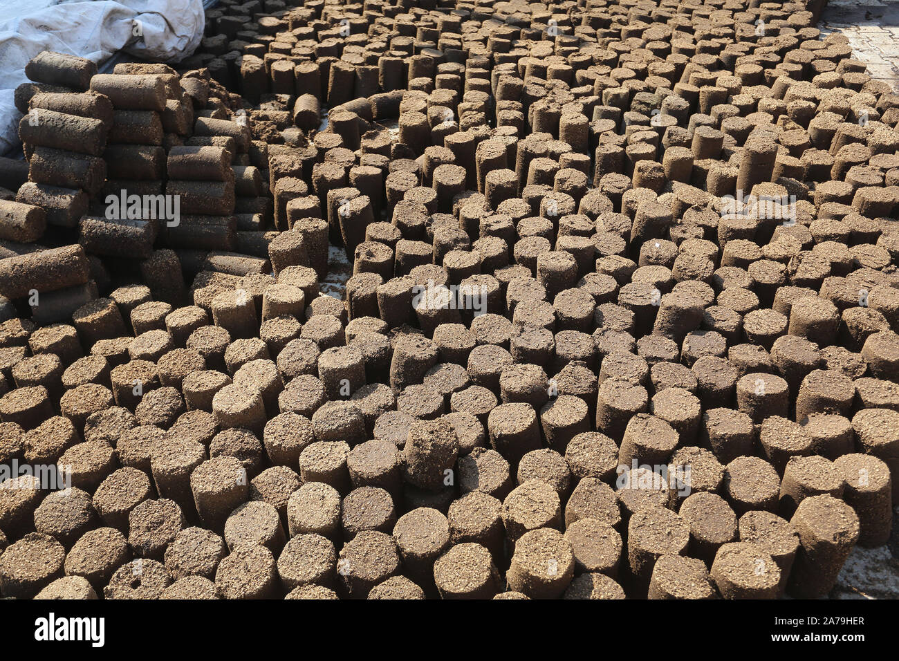 Palestinians make molds from olive pomace that is obtained from the ...