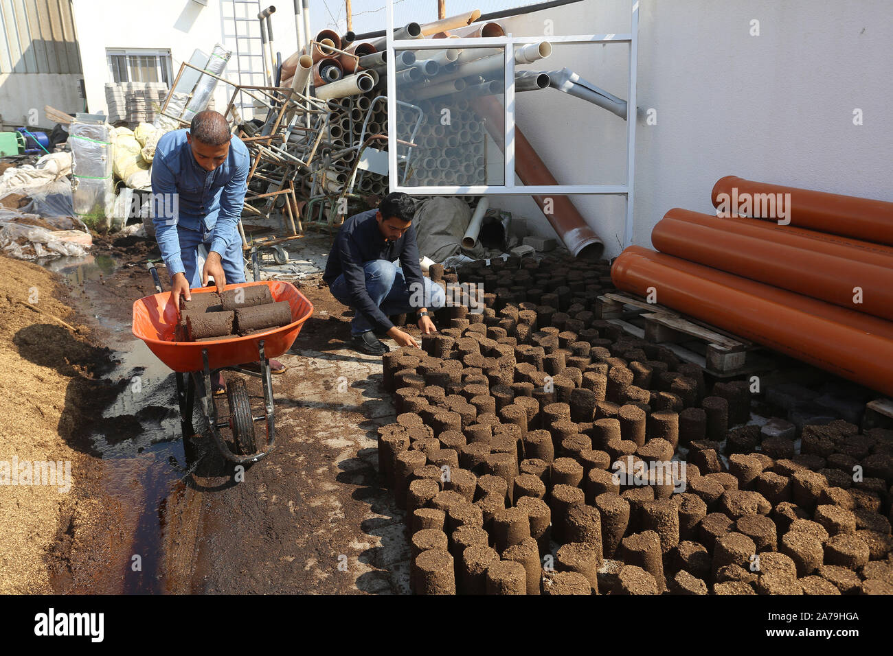 Palestinians make molds from olive pomace that is obtained from the ...