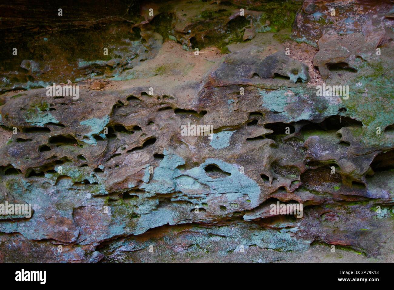 Colorful mossy cave wall Stock Photo - Alamy
