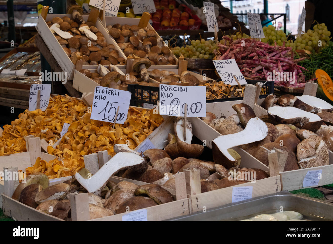Bright and colourful display of mushrooms and fungi for sale on a ...
