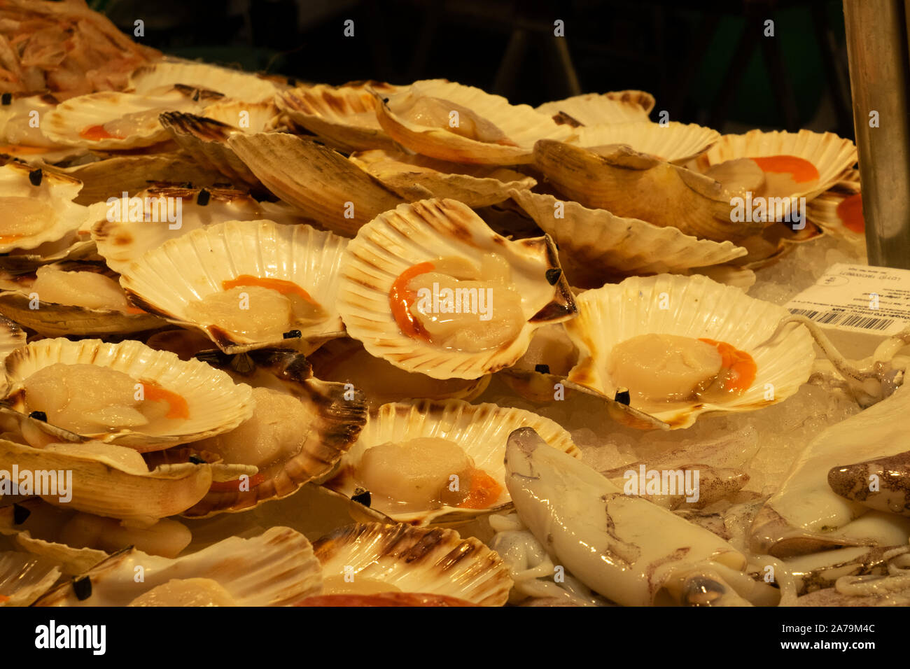 Pile of opened scallops displayed in their shells on a stall at the ...