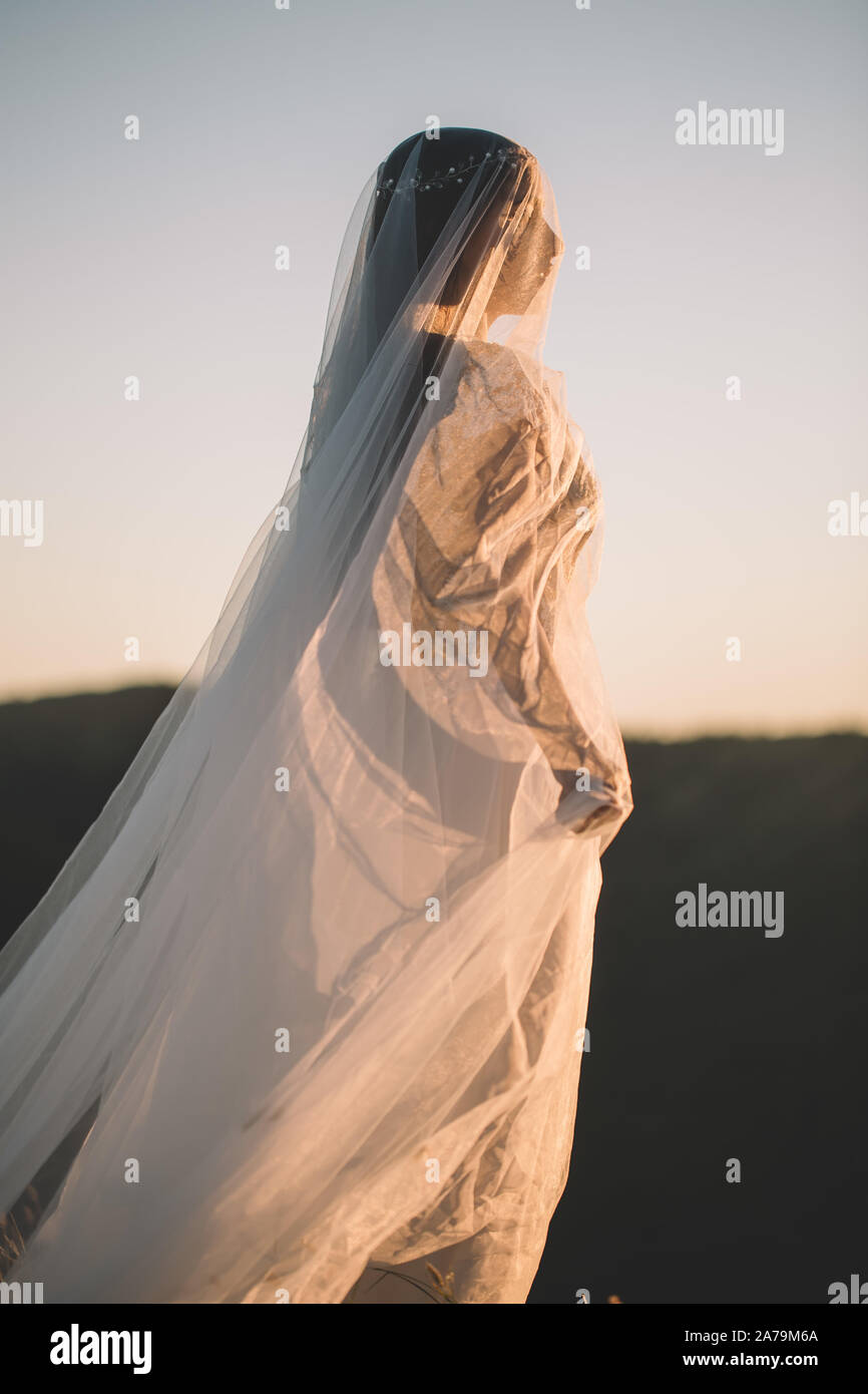 Sideways portrait of the bride in a long white dress in nature summer ...