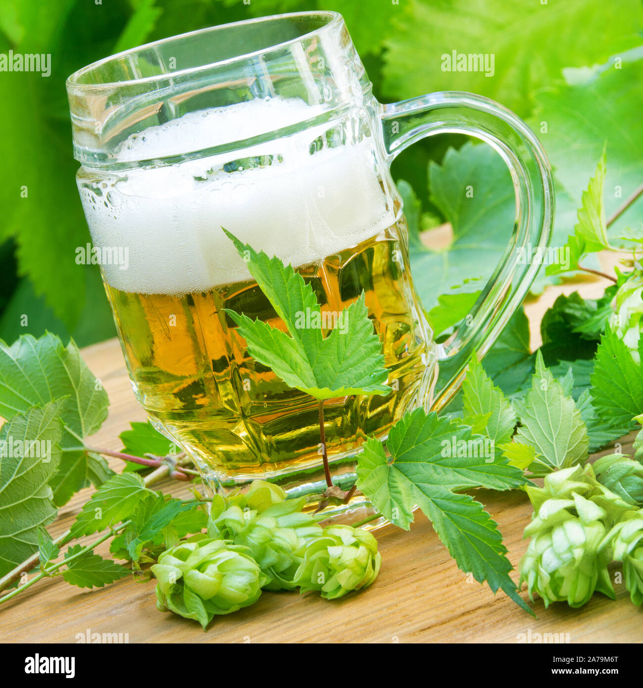 Beer and Hops Stock Photo - Alamy