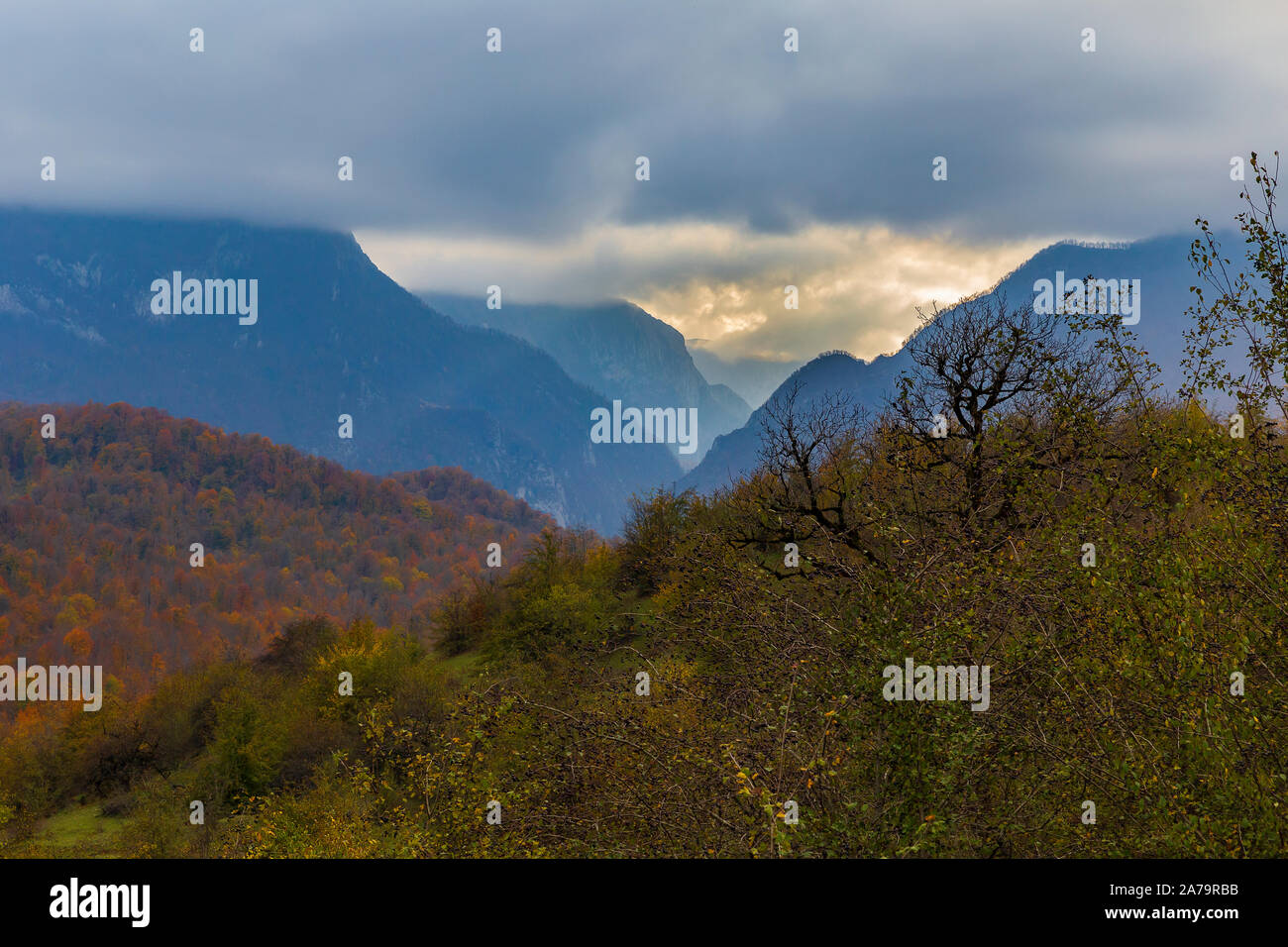 Fog covered autumn golden forest hi-res stock photography and images - Alamy