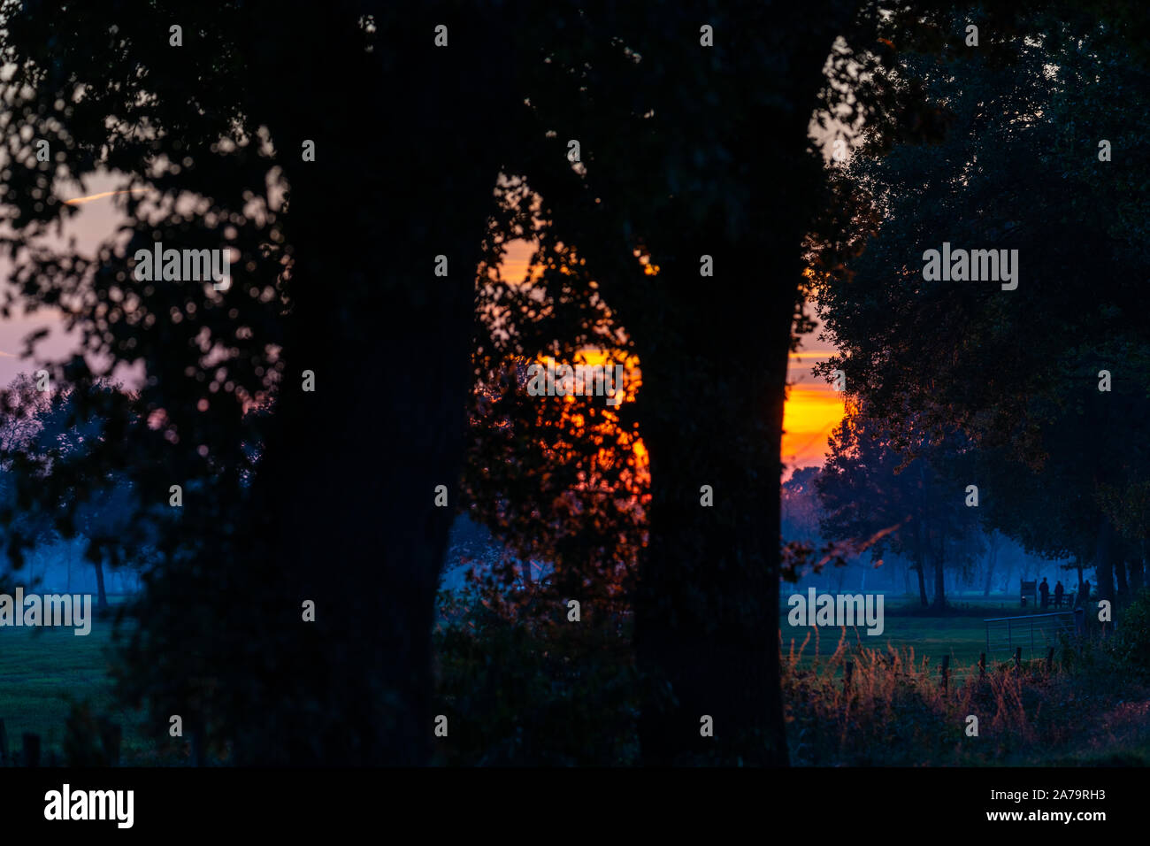 A special sunset with intense colors in the autumn evening Stock Photo ...