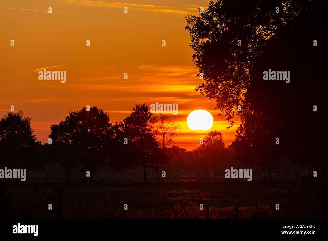 Beauty of colors hi-res stock photography and images - Alamy