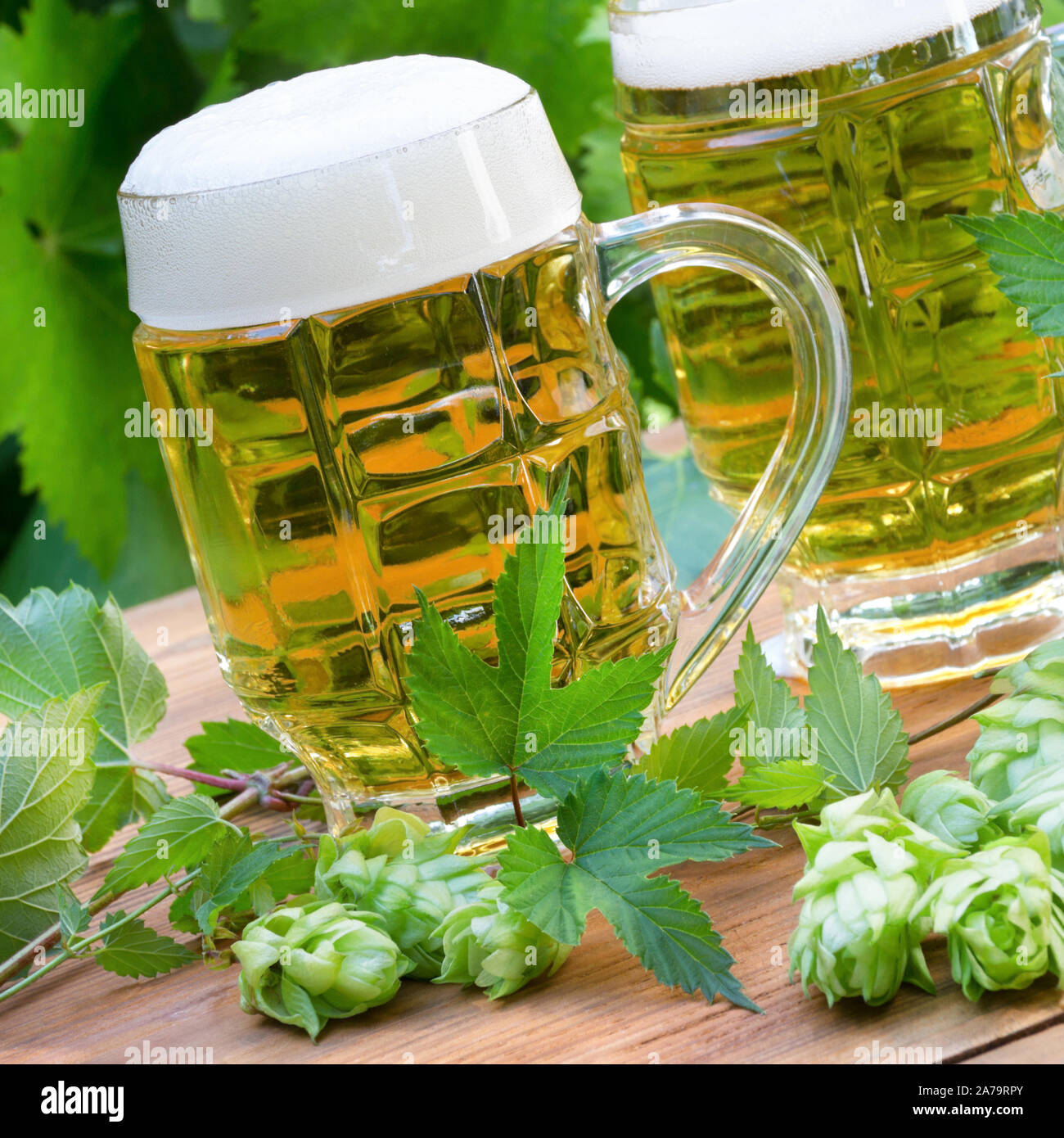Beer and hop close up Stock Photo - Alamy