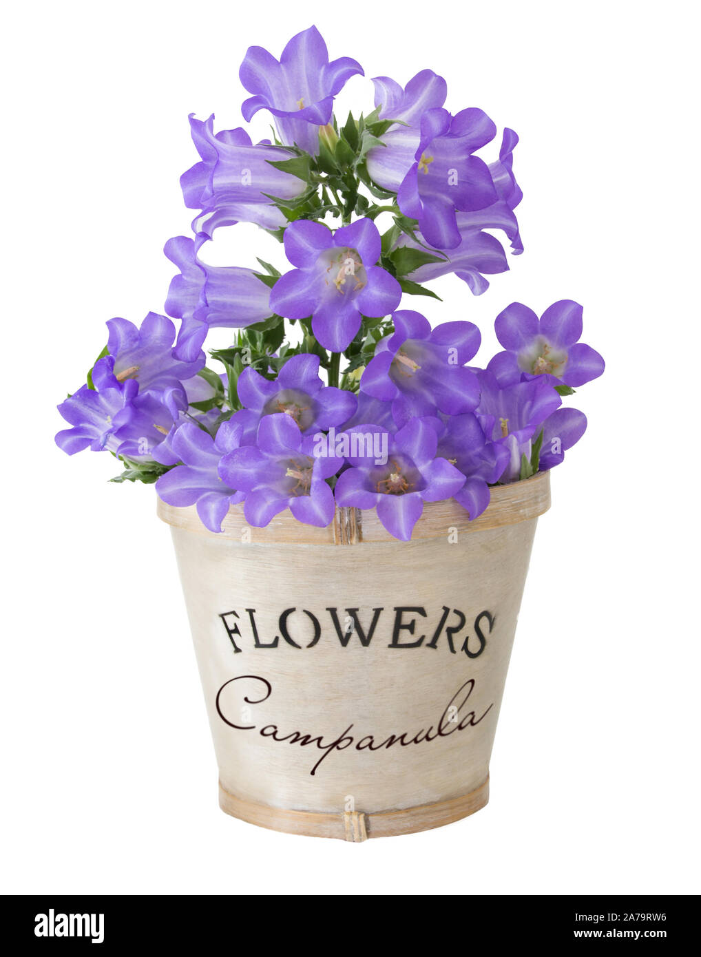 Bell accents hi-res stock photography and images - Alamy