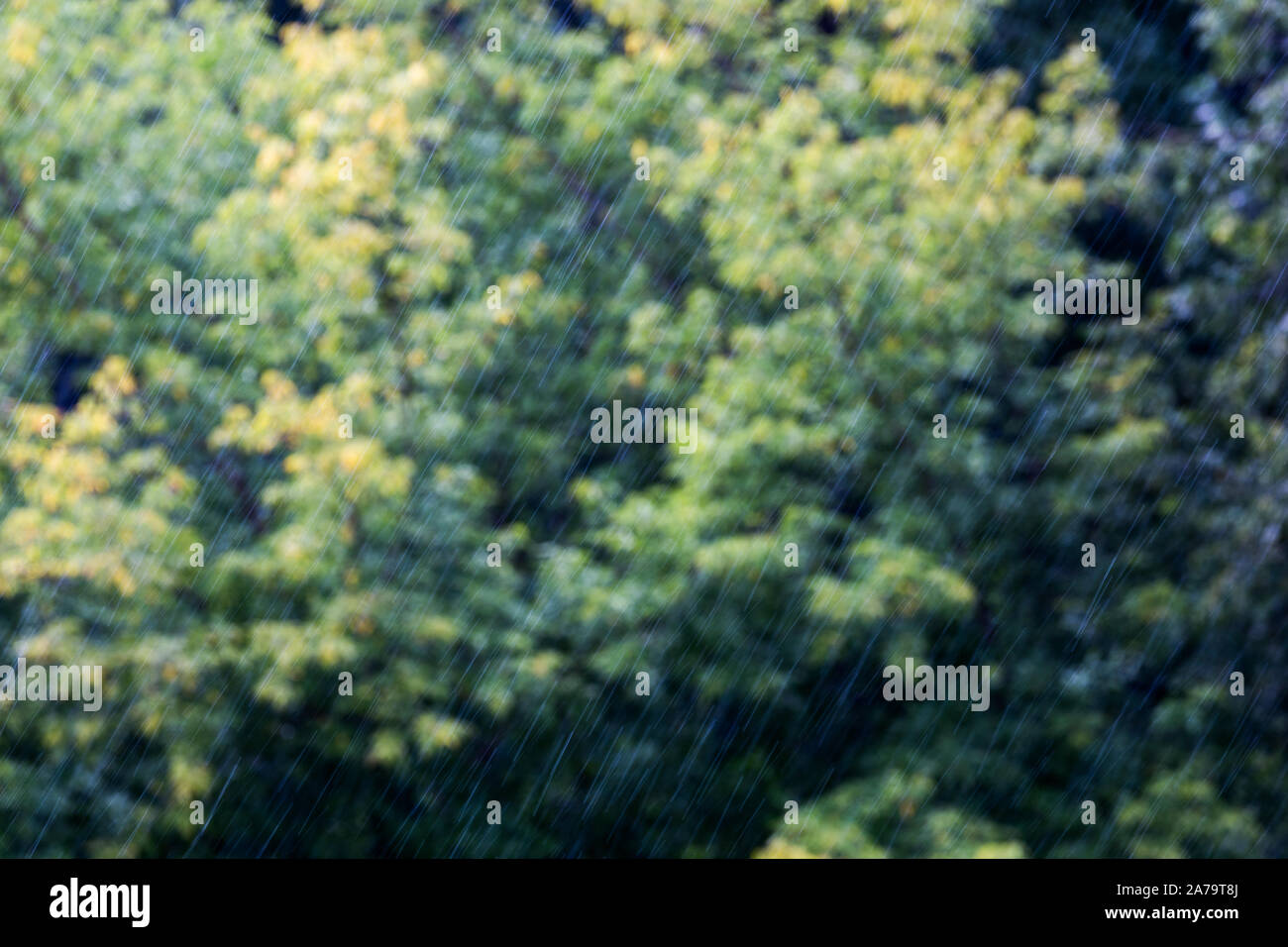 Blurry heavy rain falling hi-res stock photography and images - Alamy