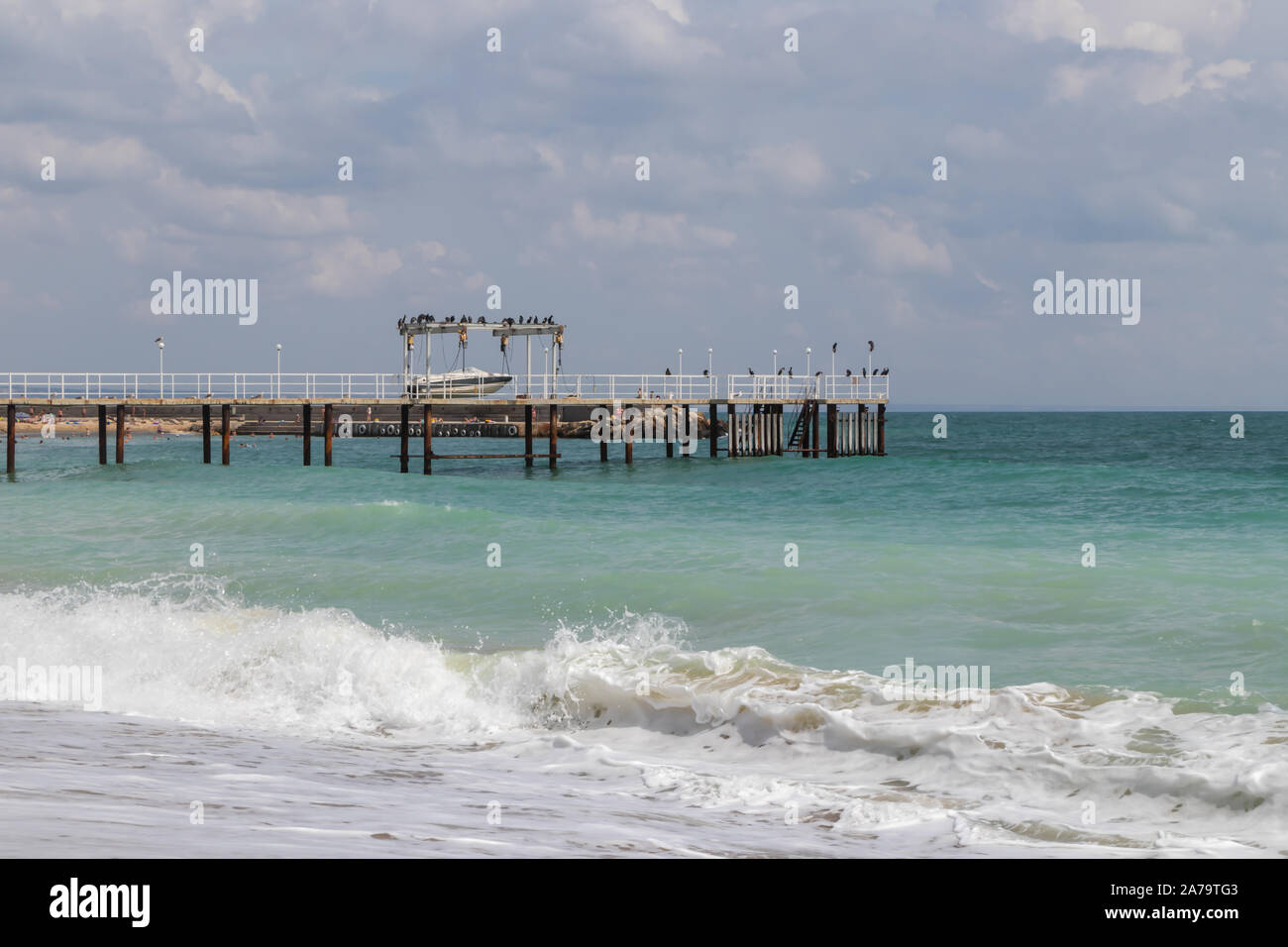 Boat jetty and birds hi-res stock photography and images - Alamy