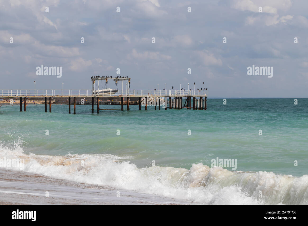 Sea birds on jetty with a boat Stock Photo - Alamy
