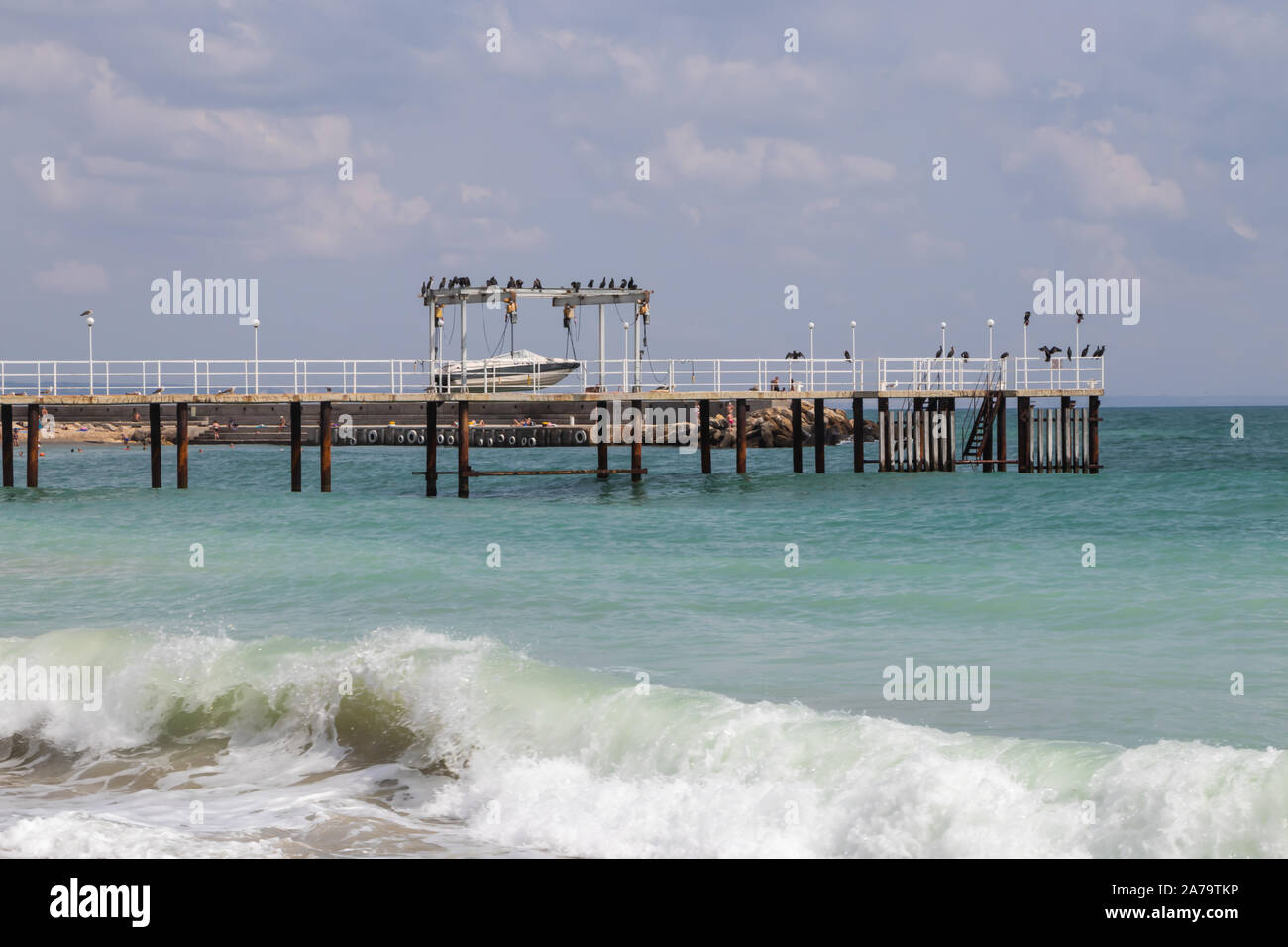 Boat jetty and birds hi-res stock photography and images - Alamy