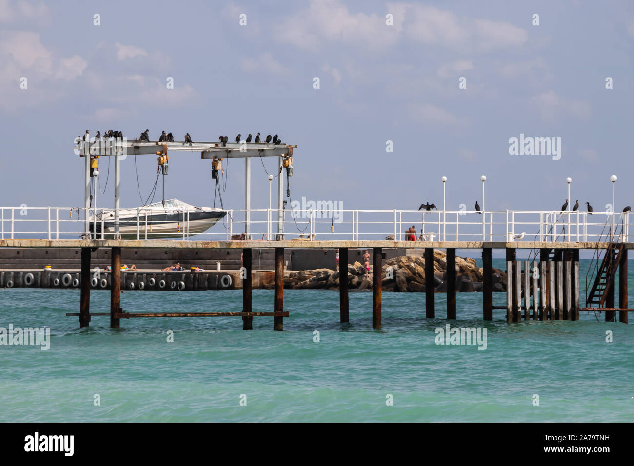 Birds on jetty hi-res stock photography and images - Alamy