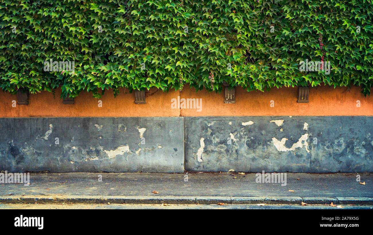 Leaves covering sidewalk hi-res stock photography and images - Alamy