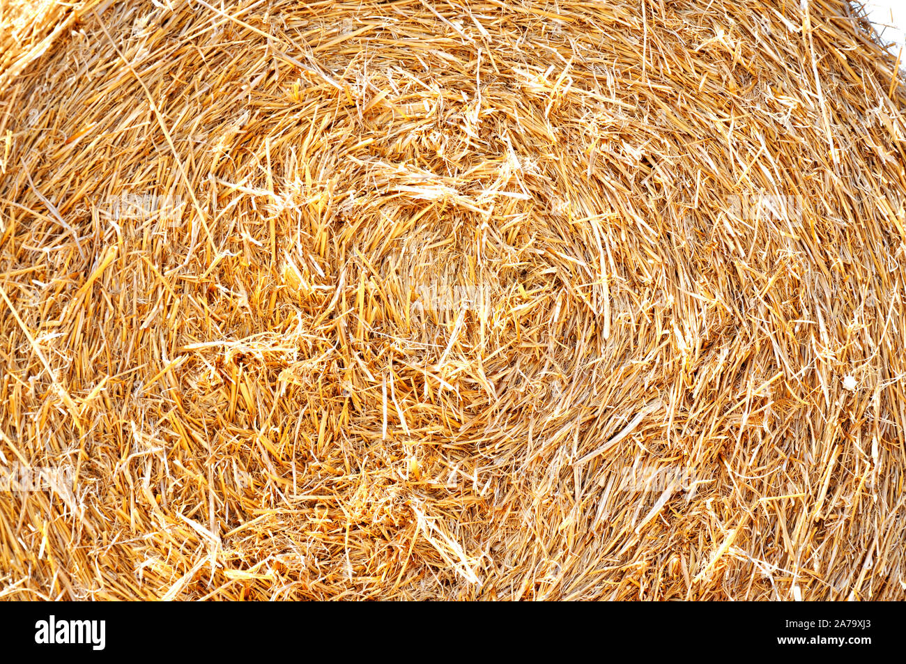 Background, texture, pattern, design, abstraction, image, created on ...