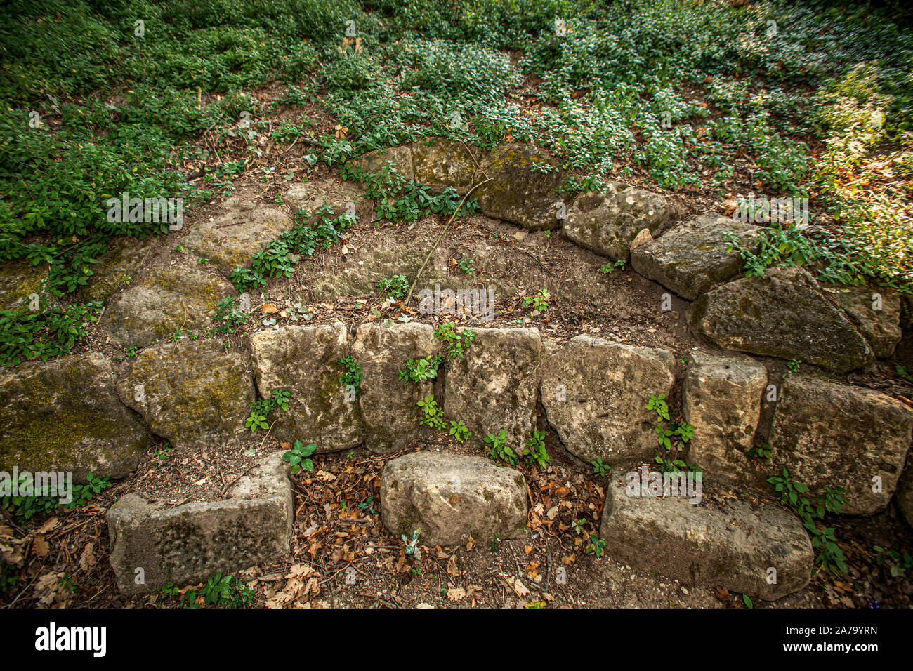 Fonte magna hi-res stock photography and images - Alamy