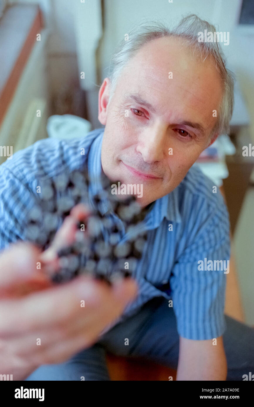 Kroto hi-res stock photography and images - Alamy