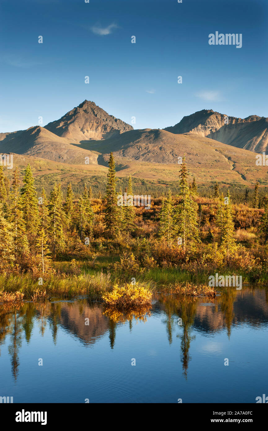 Alaska beaver pond forest hi-res stock photography and images - Alamy
