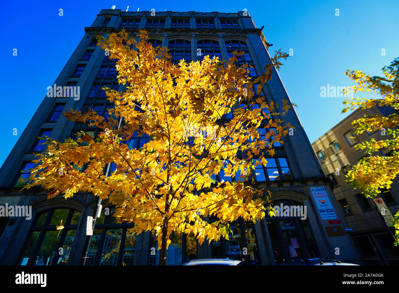 Quebec autumn colors hi-res stock photography and images - Alamy