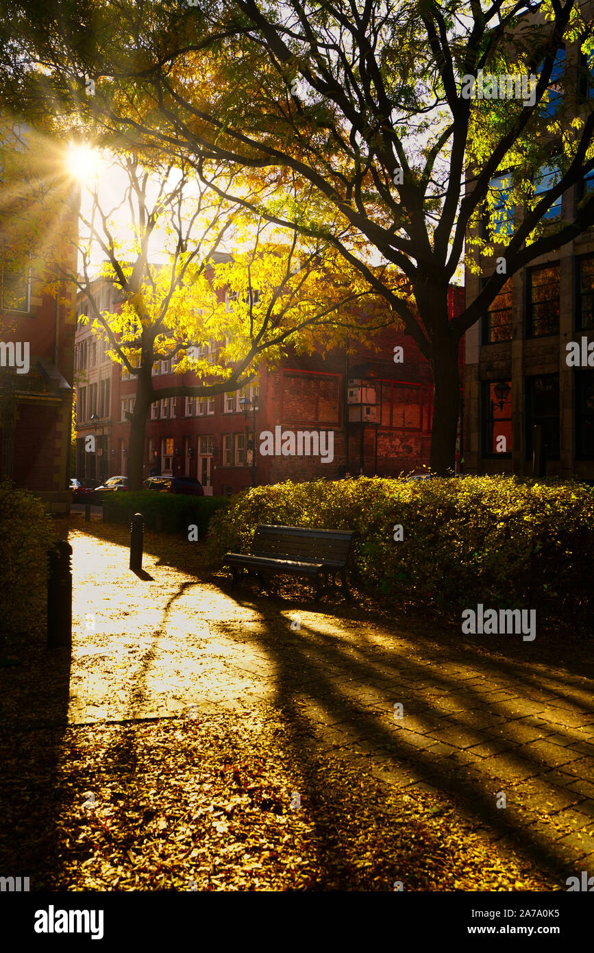 Fall colors quebec hi-res stock photography and images - Alamy