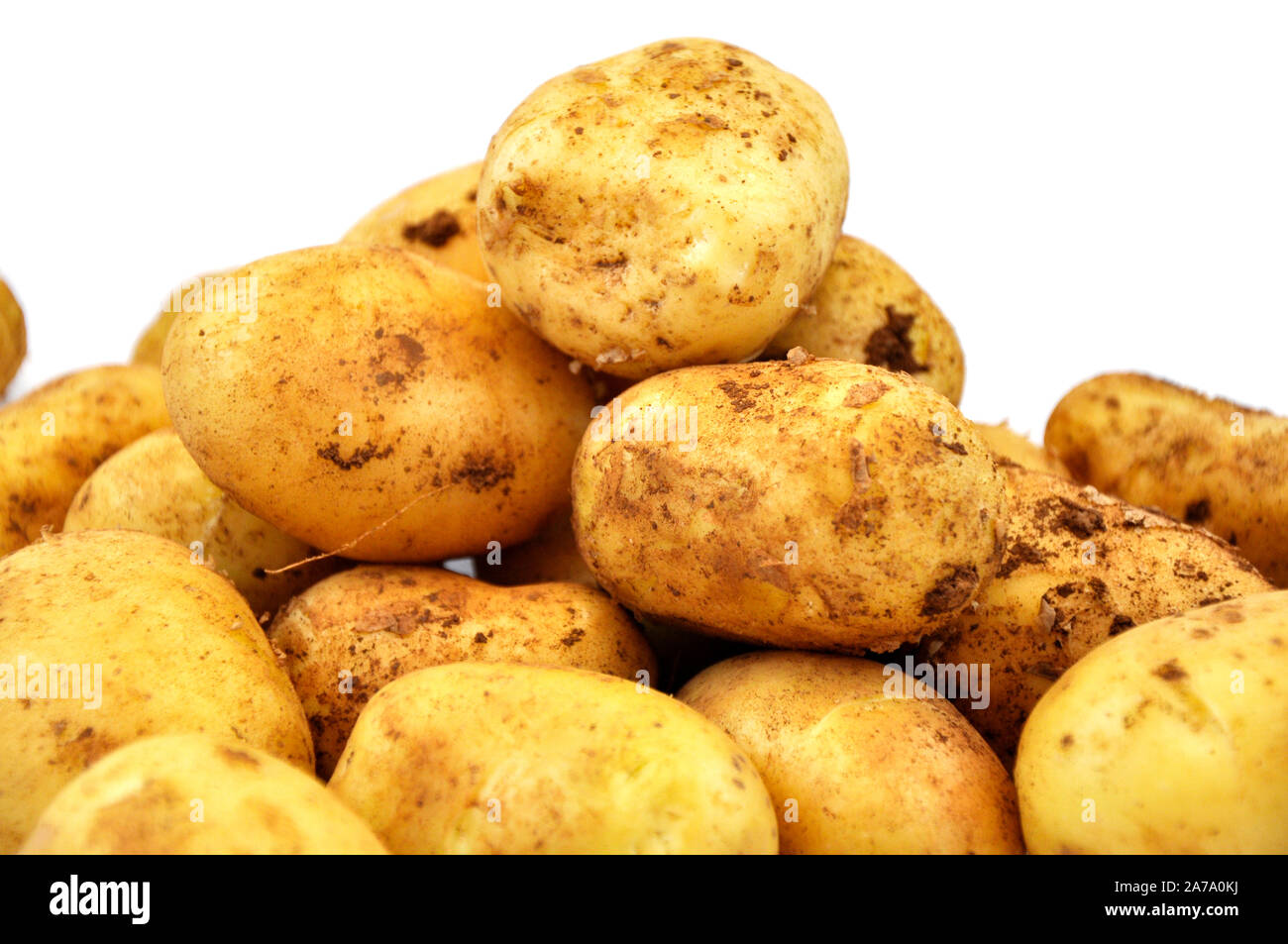 Fresh raw potato on white background Stock Photo - Alamy