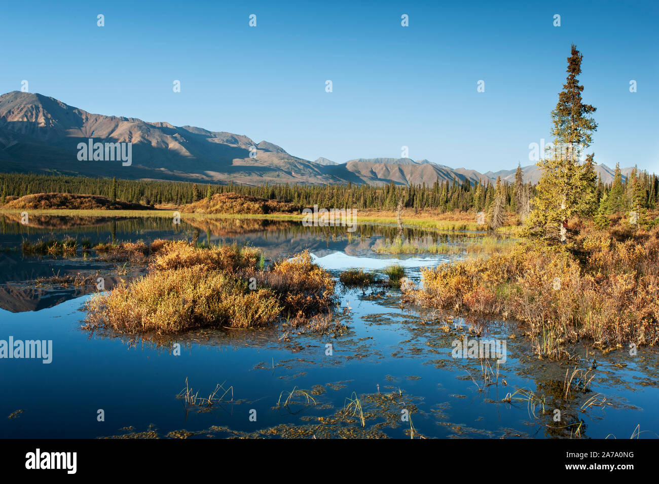 North America; United States; Alaska; Alaska Range Mountains; Denali ...