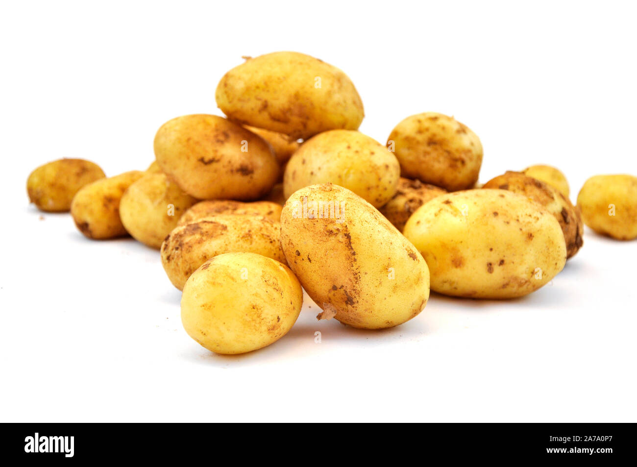 Fresh raw potato on white background Stock Photo - Alamy