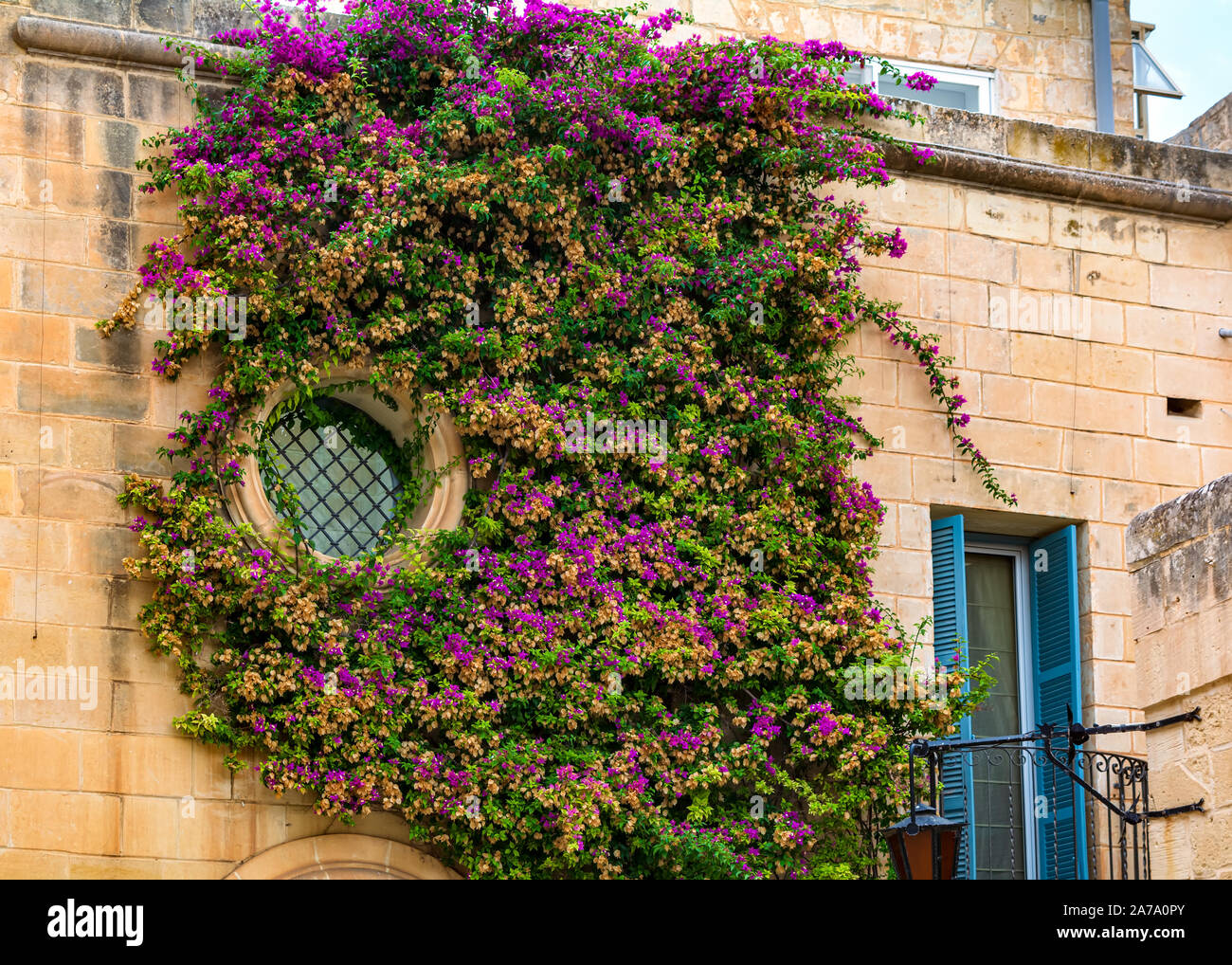 Round window with Bougainvillea branches Stock Photo - Alamy