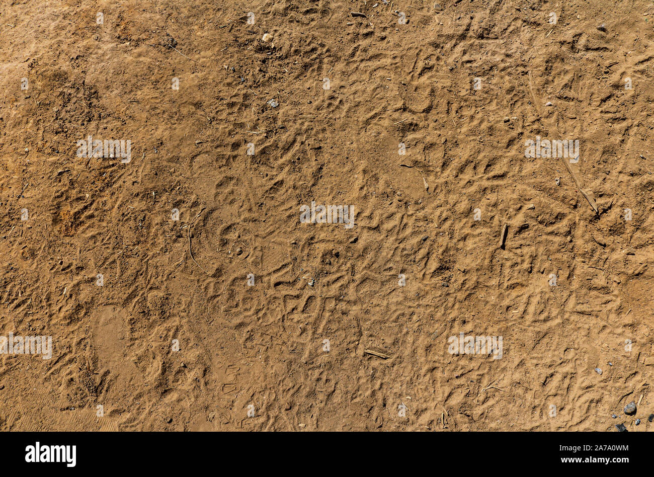The surface of a dirty sandy floor background with stones Stock Photo ...