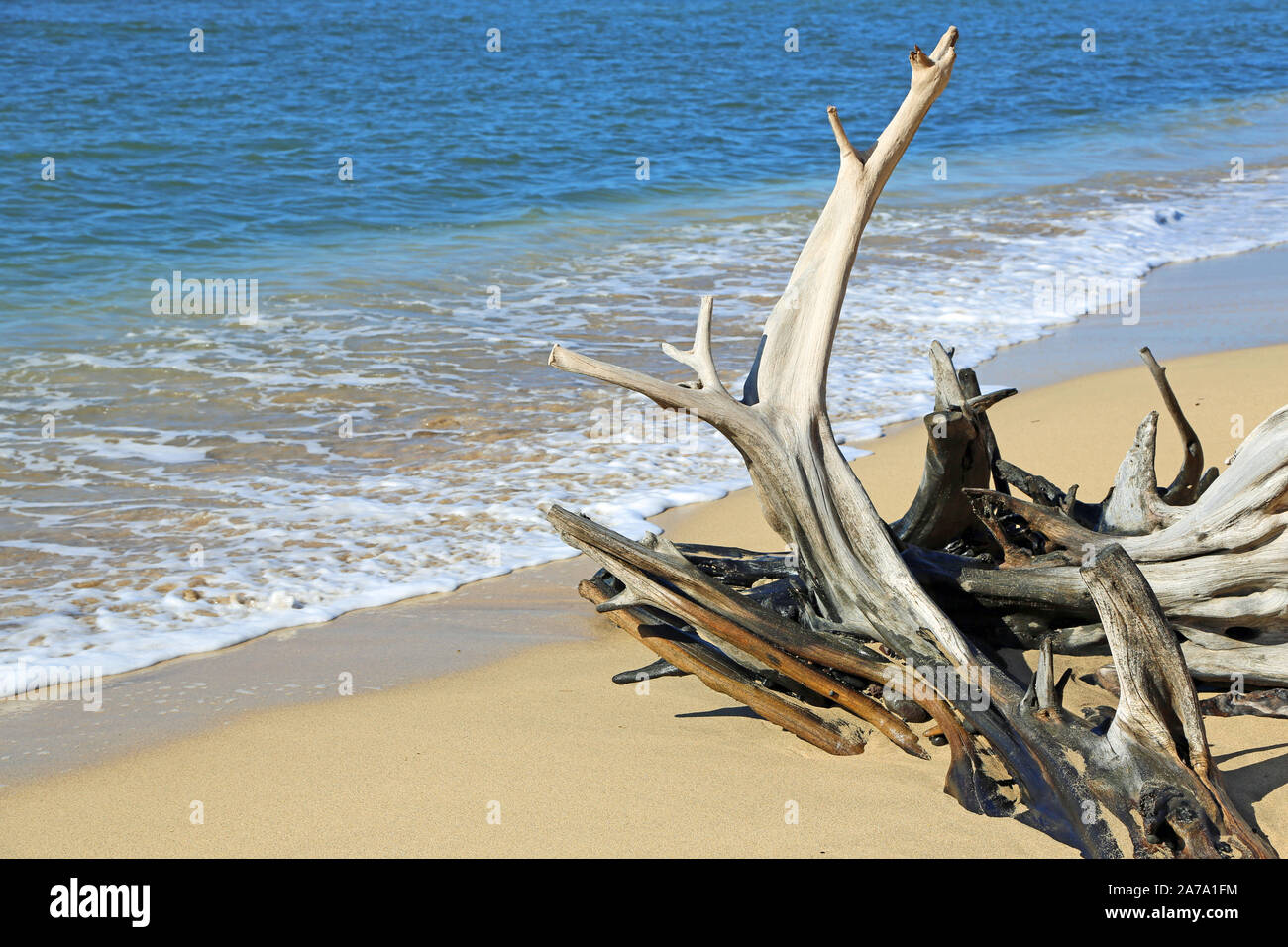 Wood on the beach - Maui, Hawaii Stock Photo - Alamy
